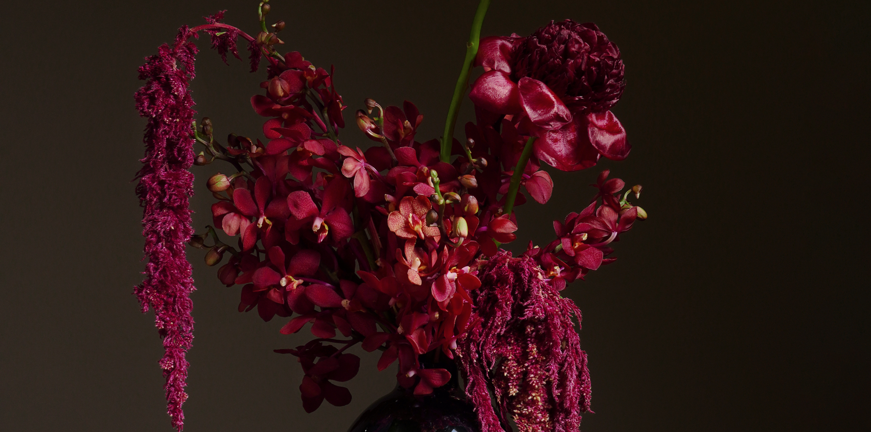 Main Page – Blomma Concept